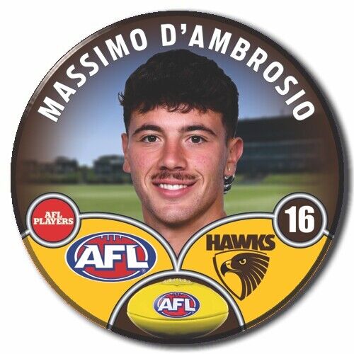 2024 AFL Hawthorn Football Club - D'AMBROSIO, Massimo – Sporting Souvenirs