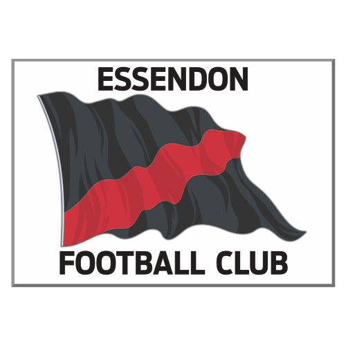 ESSENDON SUPPORTER MAGNETS – Sporting Souvenirs