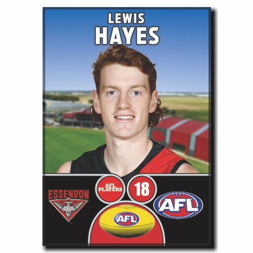 2024 AFL Essendon Football Club - HAYES, Lewis – Sporting Souvenirs